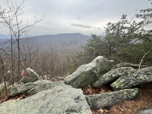 Best Views Trails in Mount Jackson | AllTrails