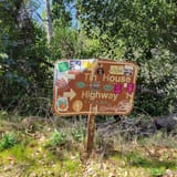 Tanbark Trail and Tin House Loop, California - 1,271 Reviews, Map ...