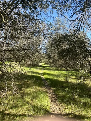 Best Kid Friendly Trails in Fair Oaks | AllTrails