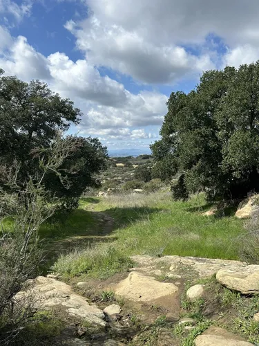 Best Hikes and Trails in Sage Ranch Park | AllTrails