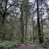 Point Defiance Park Outer Loop, Washington - 3,849 Reviews, Map | AllTrails