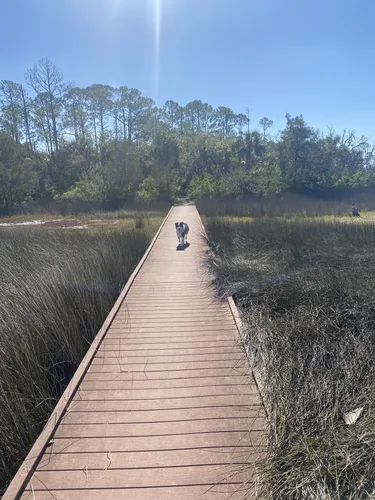 Best Views Trails in Cedar Key | AllTrails