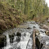 Lower Macleay Park to Pittock Mansion, Oregon - 4,201 Reviews, Map ...
