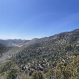 Carlito Springs Loop, New Mexico - 462 Reviews, Map | AllTrails