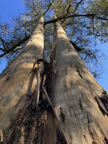 Best Hikes and Trails in Dan Foley Park | AllTrails