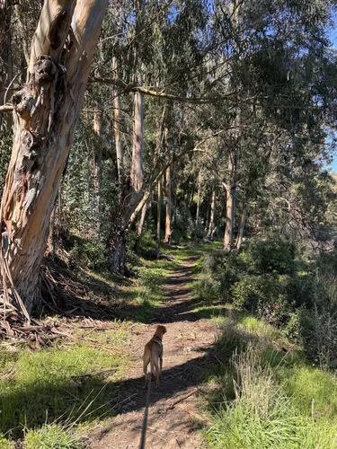 Best Hikes and Trails in Dan Foley Park | AllTrails