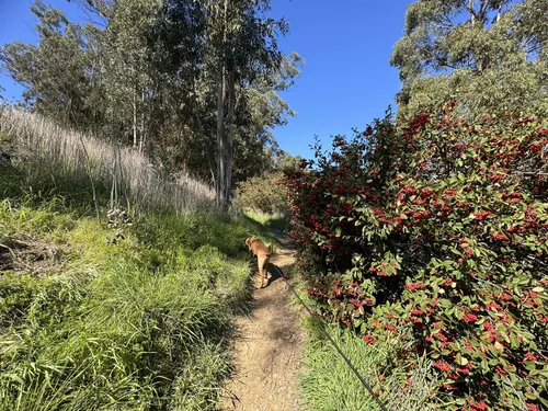 Best Hikes and Trails in Dan Foley Park | AllTrails