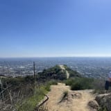 Runyon Canyon Trail, California - 7,904 Reviews, Map | AllTrails