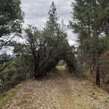 Lake Tabeaud Loop, California - 966 Reviews, Map | AllTrails