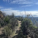 Lake Tabeaud Loop, California - 927 Reviews, Map | AllTrails