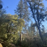 Lake Tabeaud Loop, California - 972 Reviews, Map | AllTrails