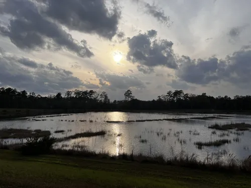 Best Hikes and Trails in Debbie Lightsey Nature Park | AllTrails