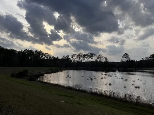 Best Hikes and Trails in Debbie Lightsey Nature Park | AllTrails