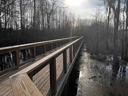 Best Hikes and Trails in Debbie Lightsey Nature Park | AllTrails