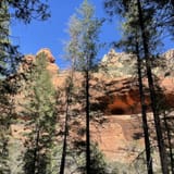 Secret Canyon Trail, Arizona - 152 Reviews, Map | AllTrails