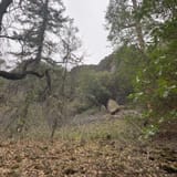 Upper Table Rock Trail, Oregon - 1,694 Reviews, Map | AllTrails