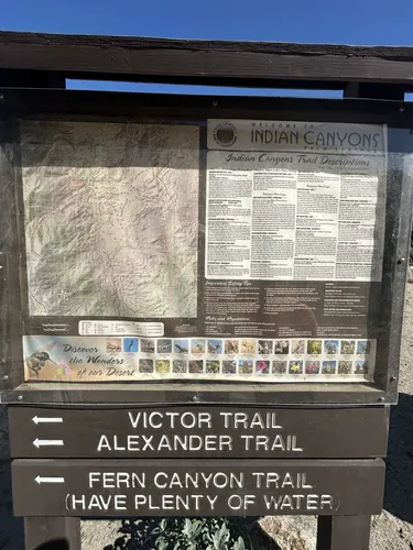 Best Wild Flowers Trails in Agua Caliente Band of Cahuilla Indians ...