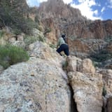 Picketpost Mountain Trail, Arizona - 2,210 Reviews, Map | AllTrails