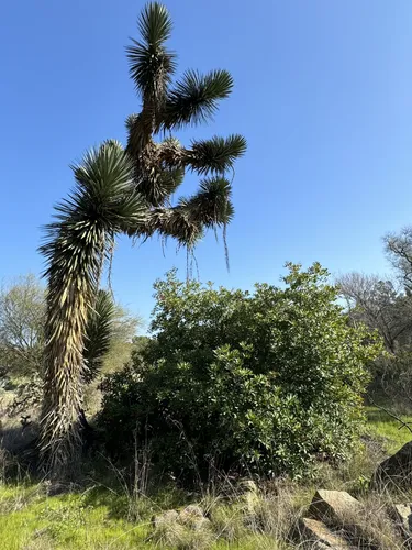 Best Hikes and Trails in Turtle Rock Community Park | AllTrails