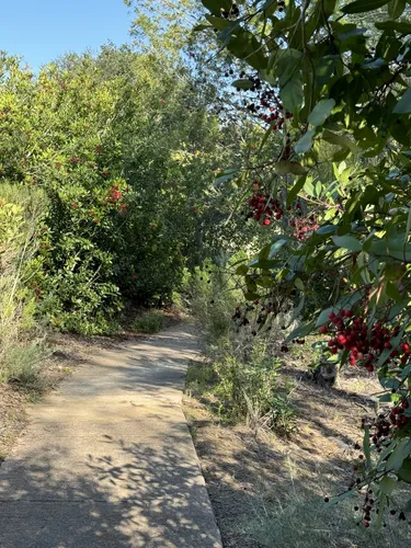 Best Hikes and Trails in Turtle Rock Community Park | AllTrails