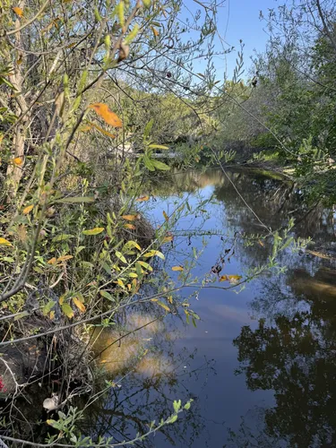 Best Hikes and Trails in Turtle Rock Community Park | AllTrails