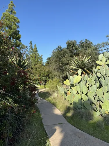 Best Hikes and Trails in Turtle Rock Community Park | AllTrails