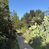 Turtle Rock Nature Center, California - 25 Reviews, Map | AllTrails