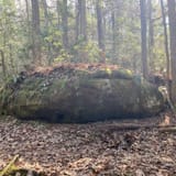 Hazard Cave and Natural Bridge Trail, Tennessee - 367 Reviews, Map ...