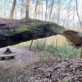 Hazard Cave and Natural Bridge Trail, Tennessee - 367 Reviews, Map ...