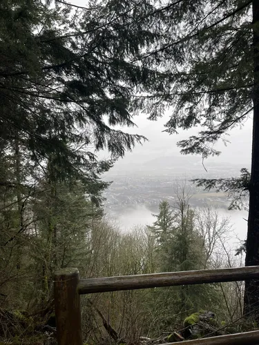 Best Hikes and Trails in Mount Thom Park | AllTrails