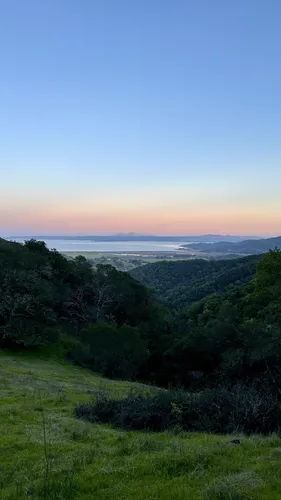 Best Hikes and Trails in Marinwood Open Space | AllTrails