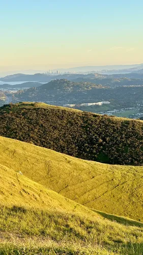 Best Hikes and Trails in Marinwood Open Space | AllTrails