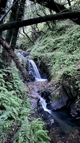 Best Hikes and Trails in Marinwood Open Space | AllTrails