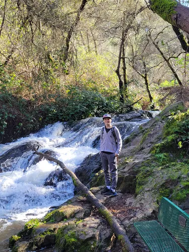 Best Kid Friendly Trails in Hidden Falls Regional Park | AllTrails