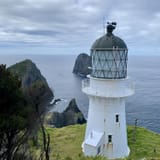 Cape Brett Track, Northland, New Zealand - 227 Reviews, Map | AllTrails