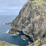 Cape Brett Track, Northland, New Zealand - 227 Reviews, Map | AllTrails