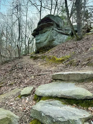 Best Hikes and Trails in Flowery Branch | AllTrails
