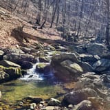 Stiles Falls, Virginia - 541 Reviews, Map | AllTrails