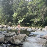 Angelito Trail, East Region, Puerto Rico - 656 Reviews, Map | AllTrails