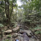 Angelito Trail, East Region, Puerto Rico - 656 Reviews, Map | AllTrails