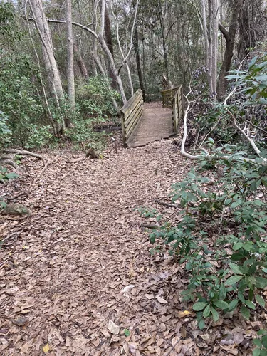 Best Hikes and Trails in Oak Tree Nature Park | AllTrails