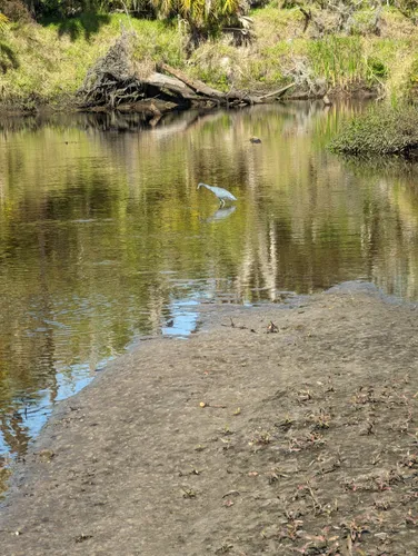 Best Hikes and Trails in Rye Preserve | AllTrails