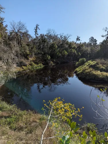 Best Hikes and Trails in Rye Preserve | AllTrails