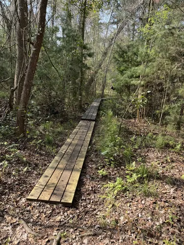 Best Hikes and Trails in Santa Fe River Preserve | AllTrails