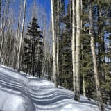 Nambe Lake Trail, New Mexico - 2,585 Reviews, Map | AllTrails
