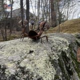 Heads Pond, New Hampshire - 896 Reviews, Map | AllTrails