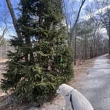 Heads Pond, New Hampshire - 896 Reviews, Map | AllTrails