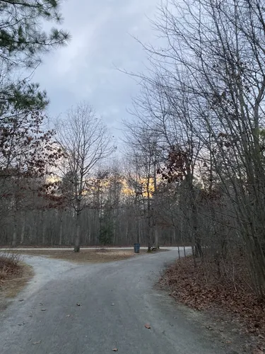 Best Hikes and Trails in Iron Bridge Park | AllTrails