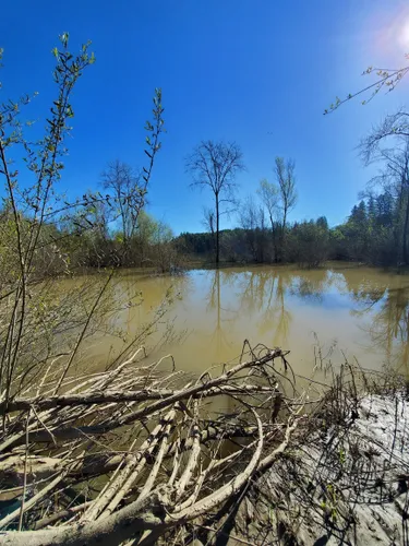 Best Lake Trails in Windsor | AllTrails