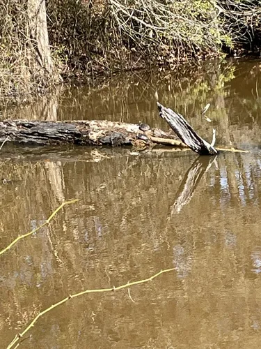 Best Hikes and Trails in Dunkirk | AllTrails